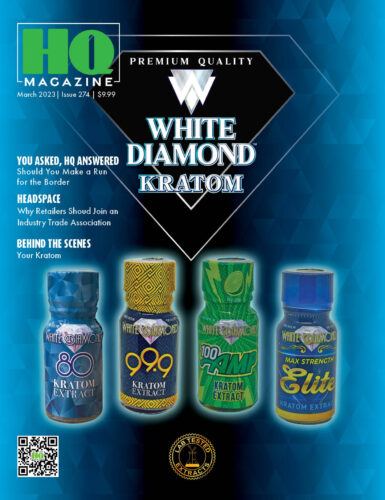 Magazine - HeadQuest