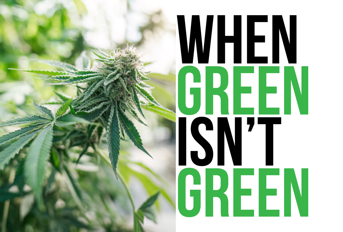 Cannabis Cultivation: Energy and Water Usage - HeadQuest